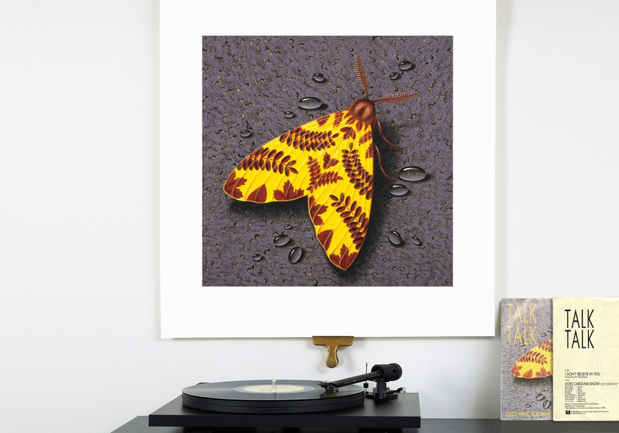 Talk/Talk/Life's What You Make It – Hypergallery