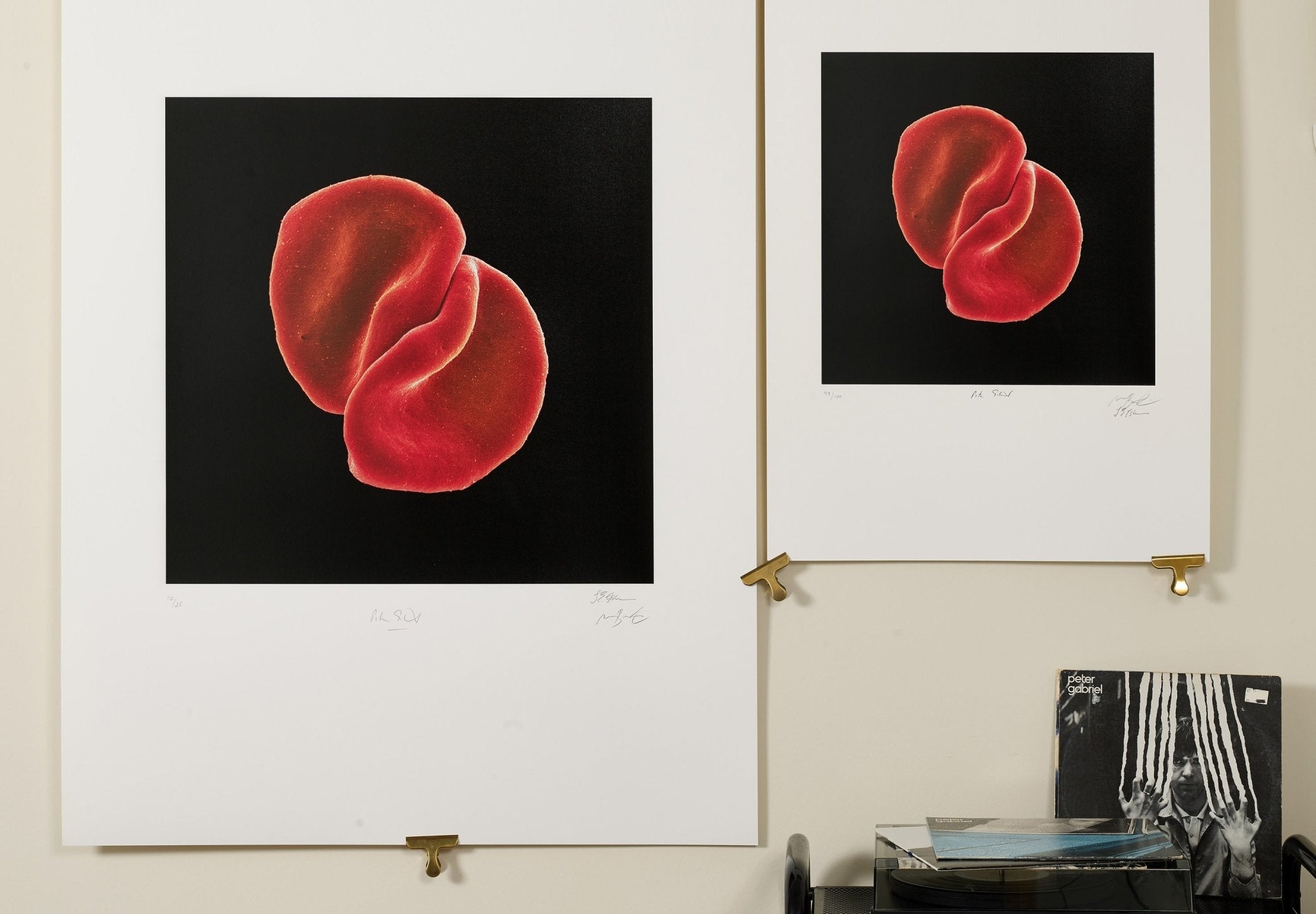 Peter Gabriel/Scratch My Back – Hypergallery